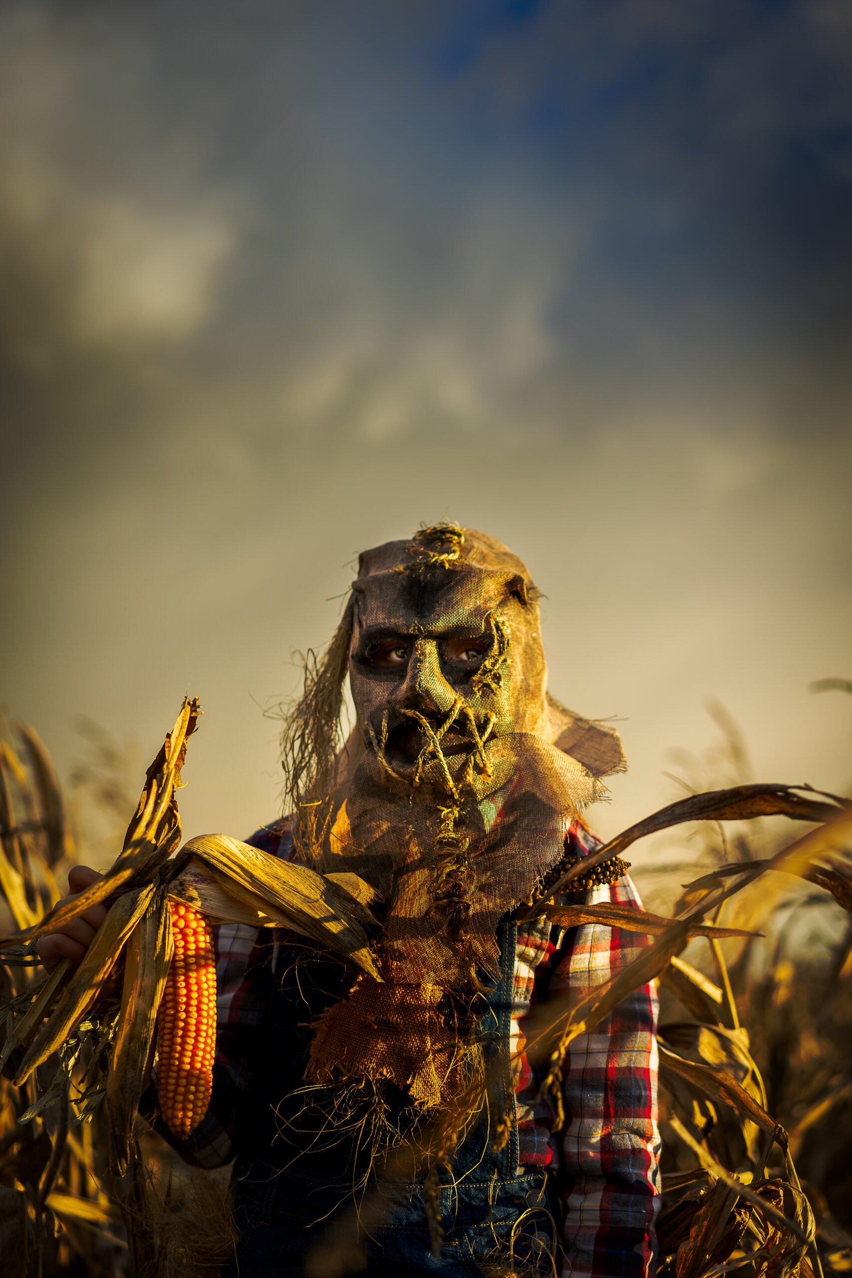 El terror fotográfico ya tiene sus obras ganadoras - Festival Cine ...